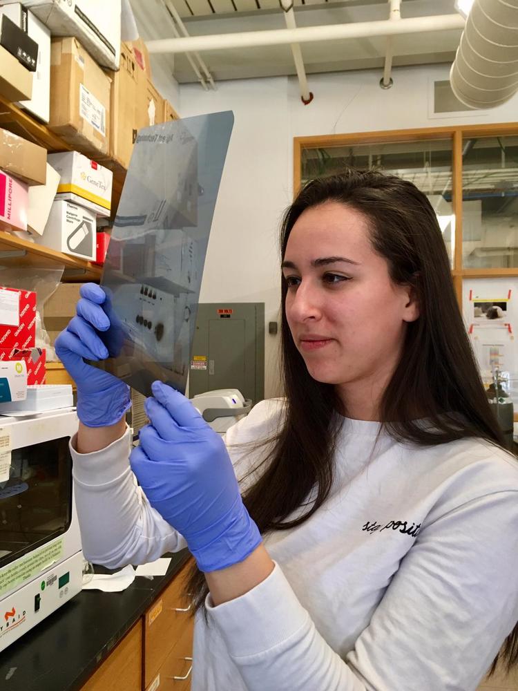 Welcome rotation student, Stephanie Maya! | Alexander Ploss