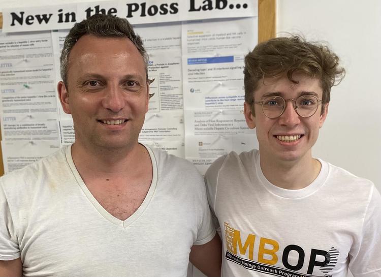 Ploss lab receives grant from Center for Health and Wellbeing ...